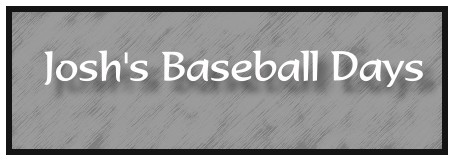 Josh's Baseball Days